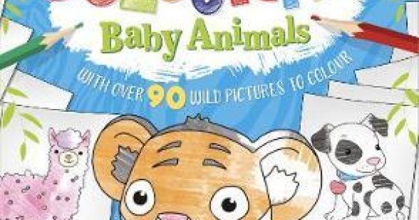 Mega Colouring 8 : Animals