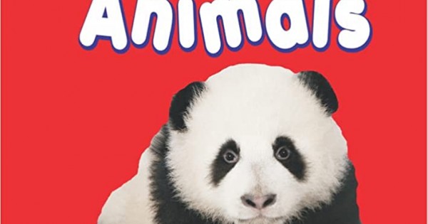 First Padded Book : Animals