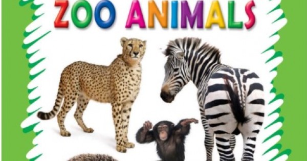 Zoo Animals - Board Book
