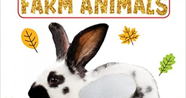 Touch And Feel : Farm Animals