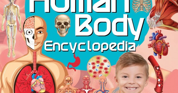 All About : Human Body Encyclopedia
