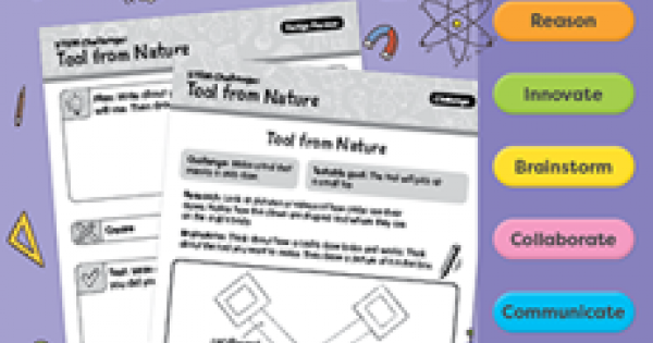 Stem Lessons And Challenges, Grade 1