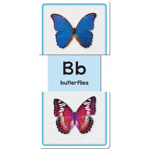 Building Blocks Slide & Learn Flash Cards Alphabet