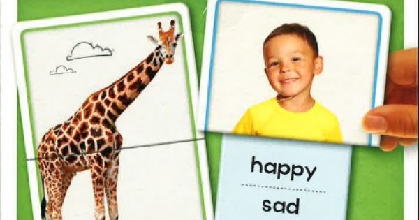 Opposites Building Blocks Jigsaw Flash Cards