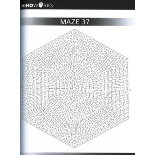 Mindworks Brain Training Mega Mazes