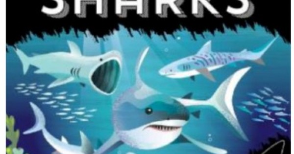 Scratch, Discover And Learn : Sharks