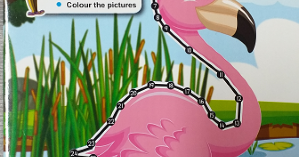 My Dot to Dots : Little Flamingo