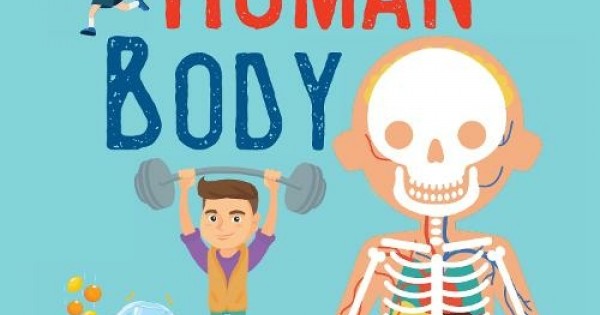 Amazing Pop-Up: Human Body (Revised)