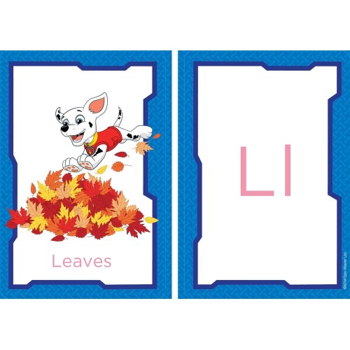 Nickelodeon PAW Patrol: Flash Cards Alphabet
